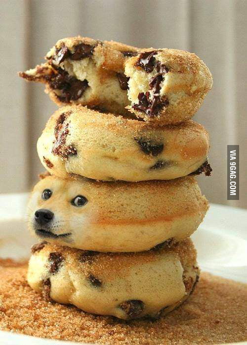 Sweet sweet doge - 9GAG