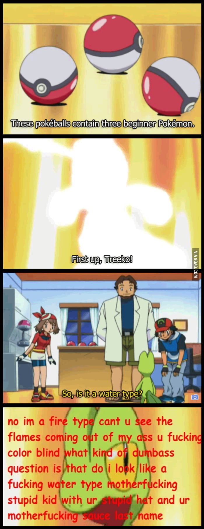 Ash asking stupid questions - 9GAG