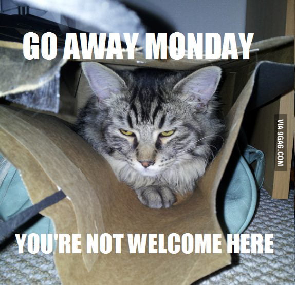 I'm not happy either... - 9GAG