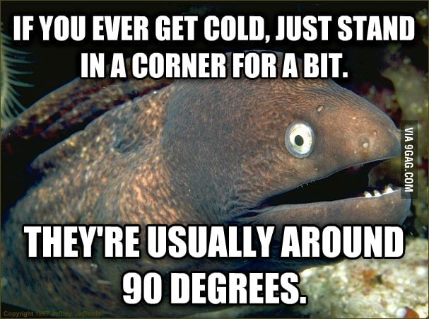 Bad joke Eel - 9GAG