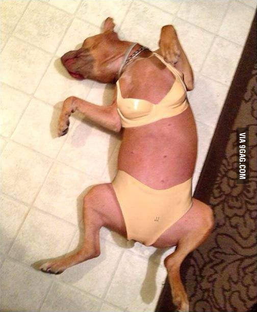 Oh, Miley, you dog. - 9GAG