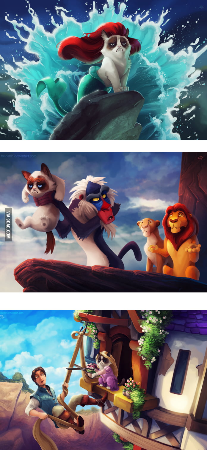 Grumpy Cat - 9GAG
