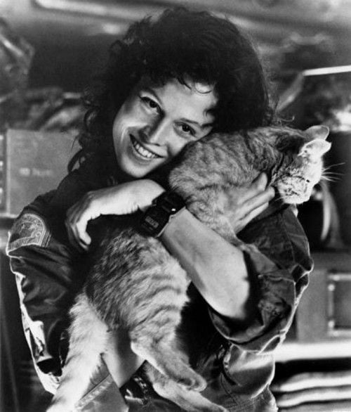 Sigourney Weaver with Jones the cat from Alien, 1979 - 9GAG