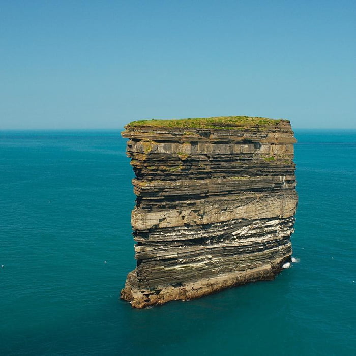 this-is-350-million-years-in-one-picture-9gag