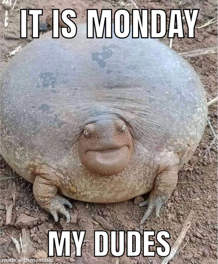 Behold the Monday thicc boi - 9GAG