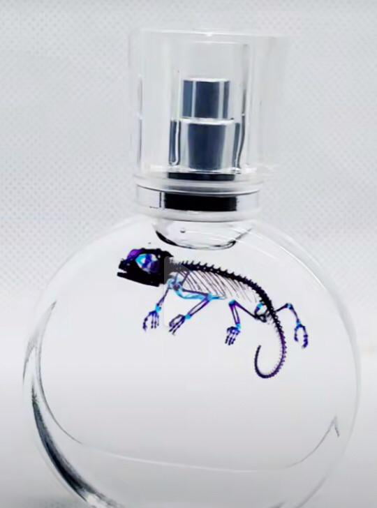 Diaphonization - treating an animal specimen in chemicals that renders ...