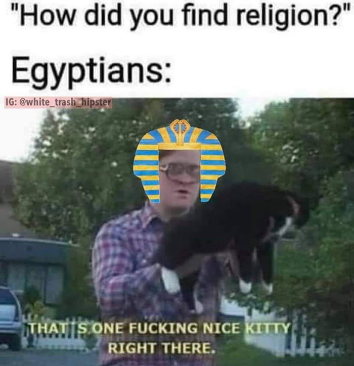Very nice kitty, sir - 9GAG