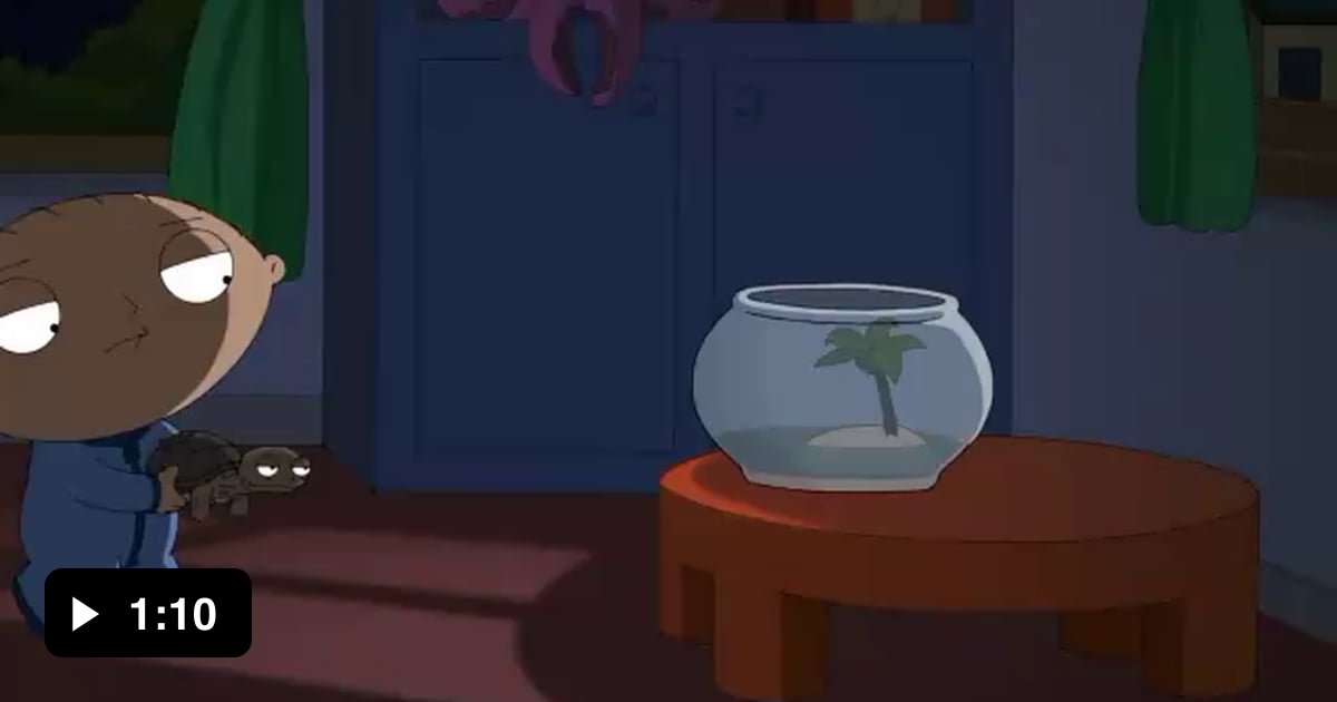 Sheldon The badass Turtle watch till end - 9GAG