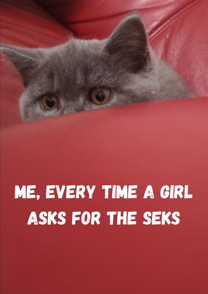 The Seks 9gag