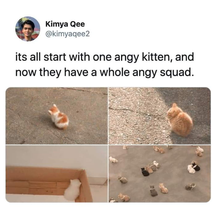 Angy squad - 9GAG