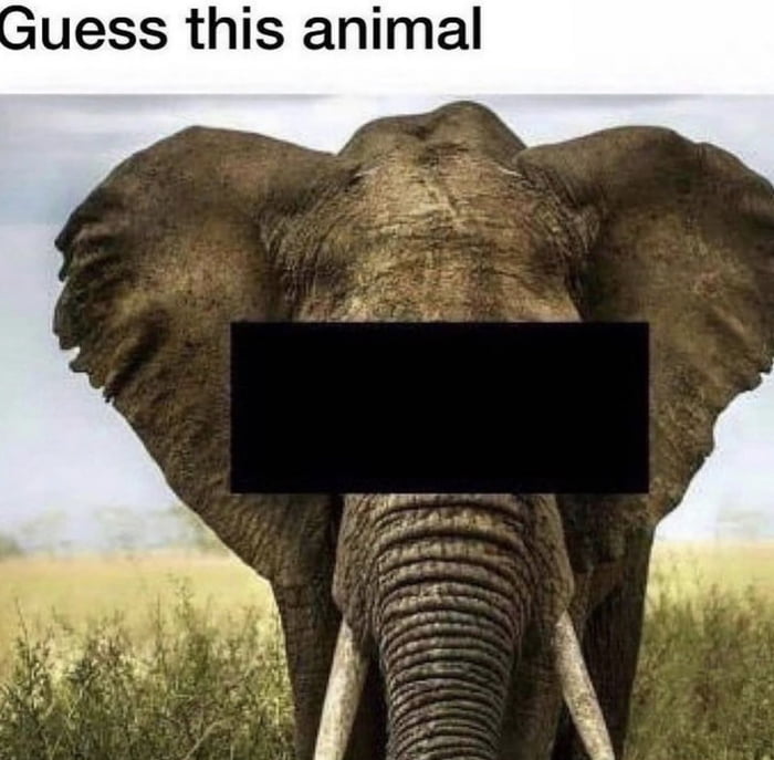 Give me some names - 9GAG