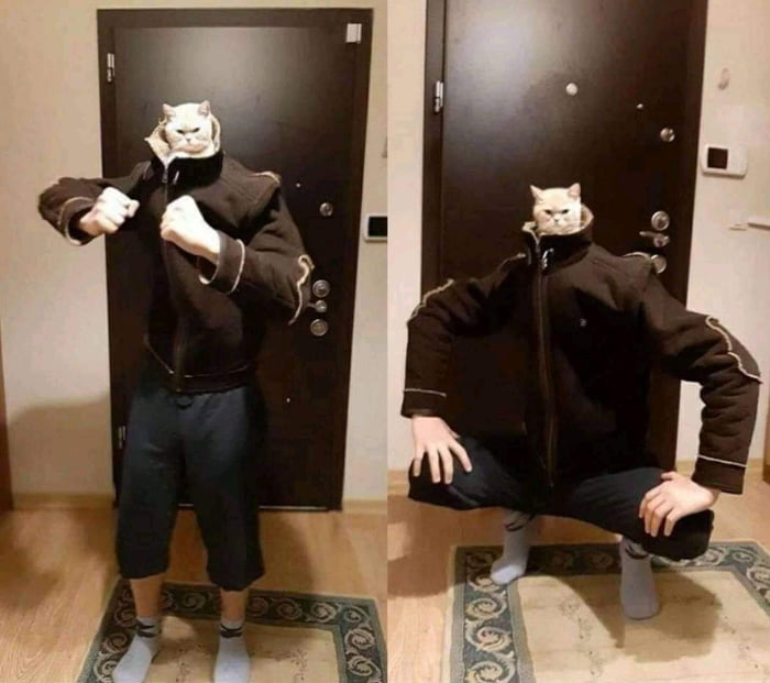 Master kitter, the litter shitter - 9GAG