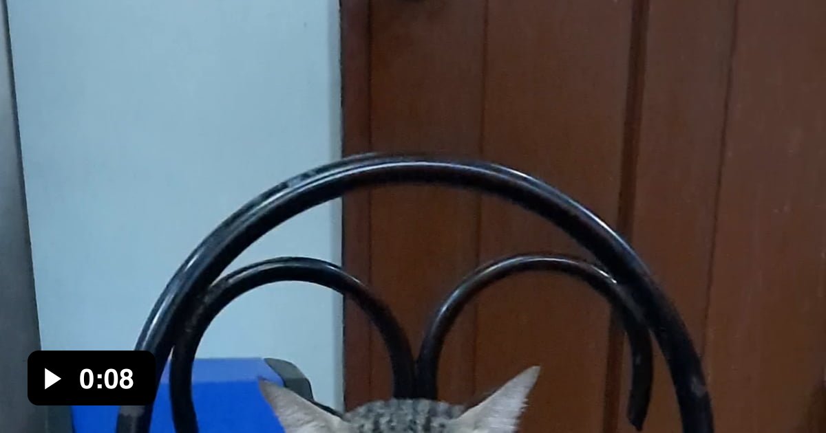 Master of concentration - 9GAG