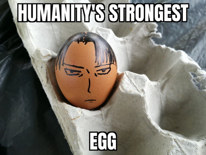 Captain Levi Egg - 9GAG
