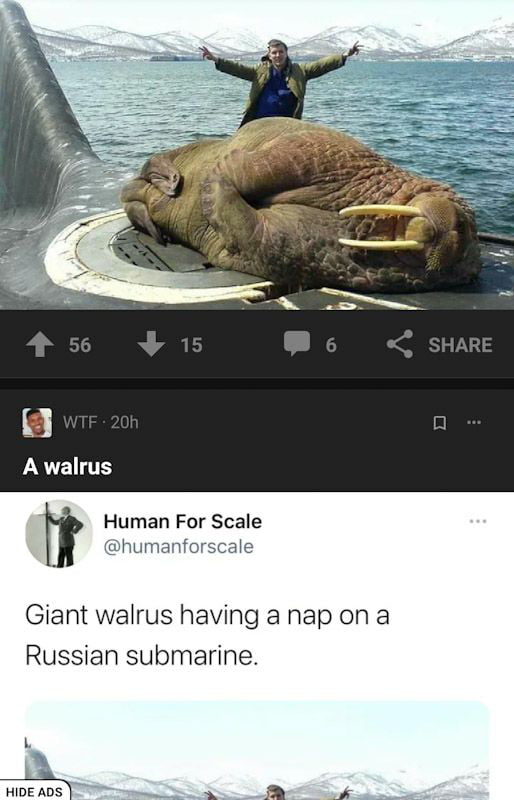 Please stop... - 9GAG