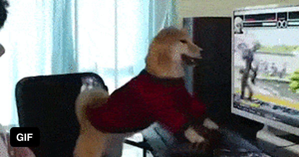 They made doge very angry - 9GAG