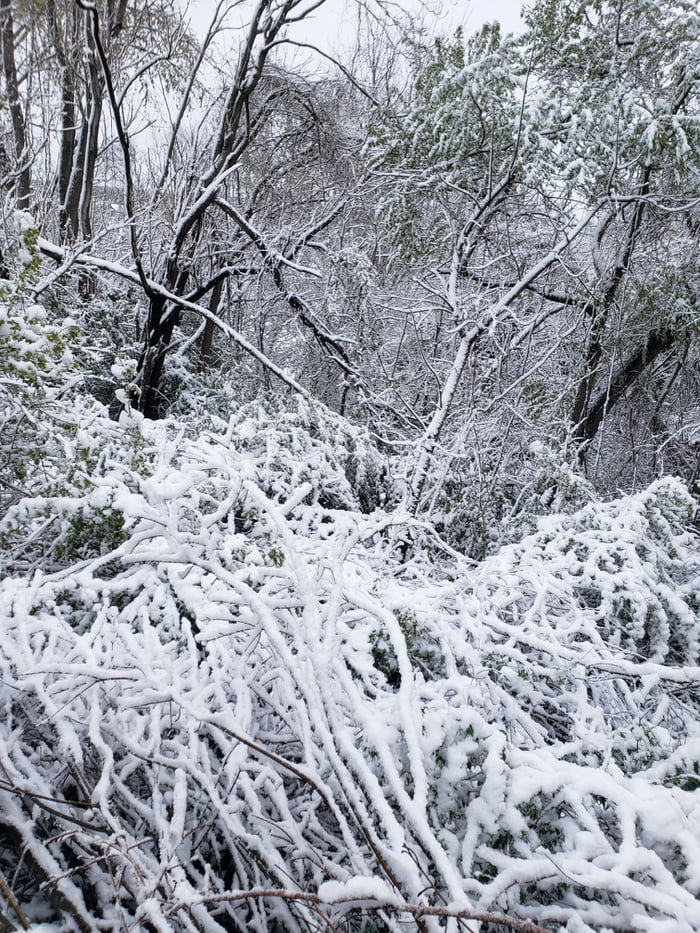Yesterday ... it's so nice in the Spring in rural Ohio, moderate ...
