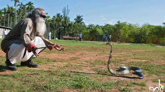 Teaching snake to squat poop #Indian - 9GAG