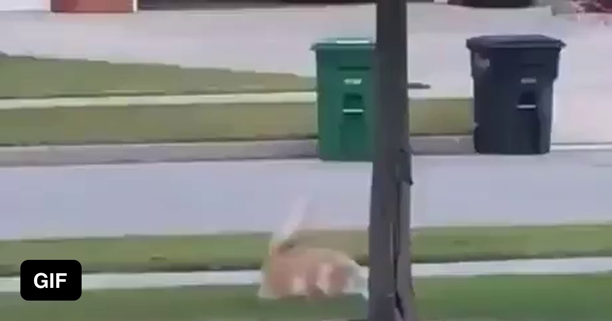 Gotta go fast - 9GAG