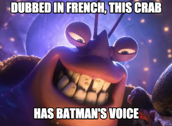 I mean, THE official french Batman's voice - 9GAG