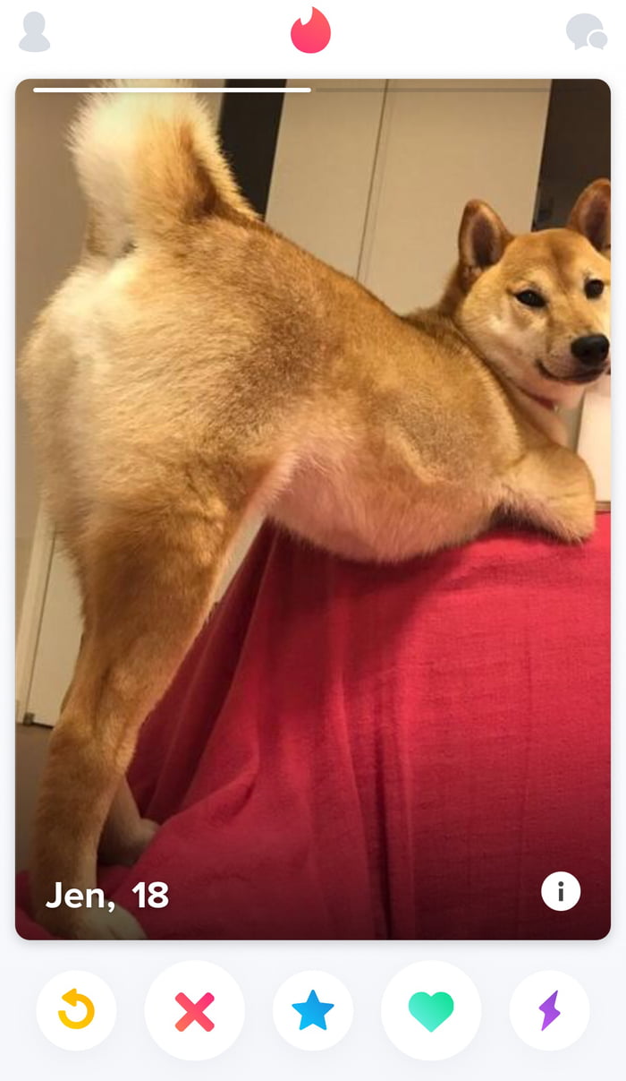 EXTRA THICC Doge on tinder - 9GAG