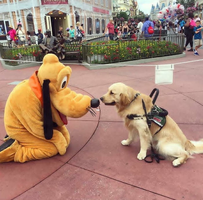 Meeting Pluto - 9GAG