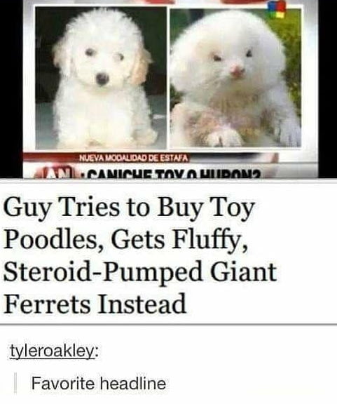 They might try to bench press you though - 9GAG