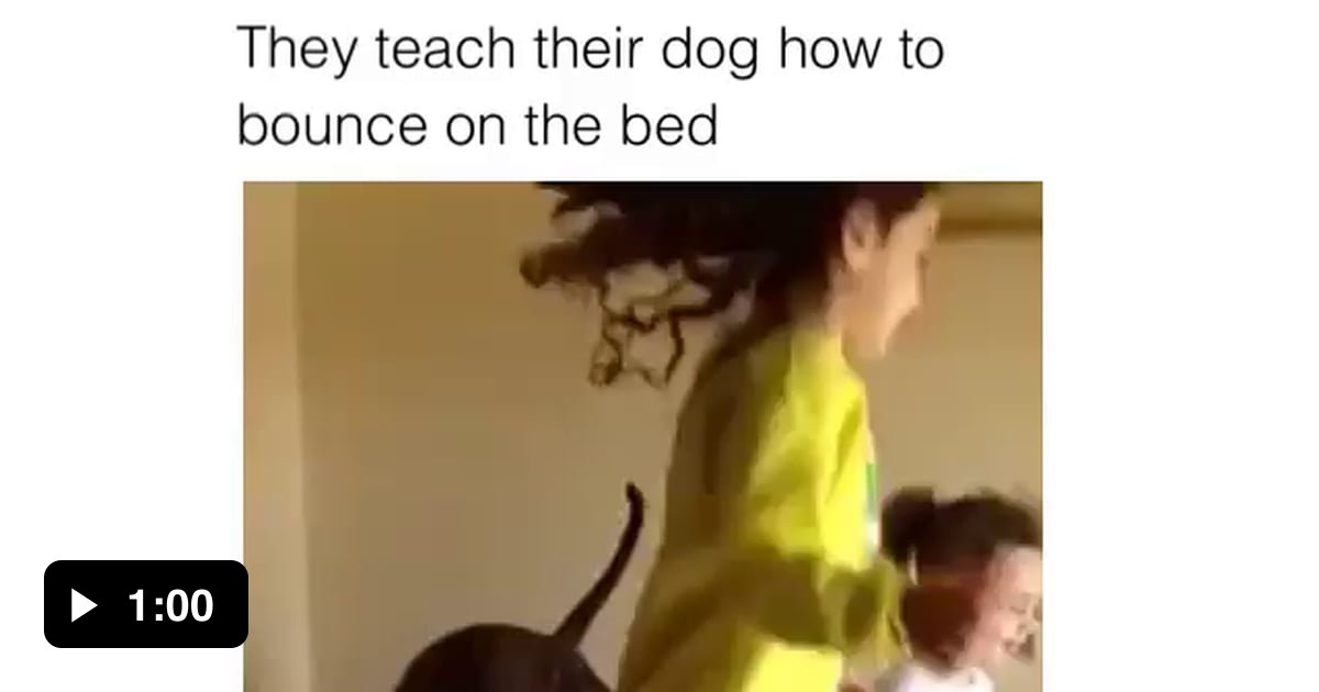 This is so cute - 9GAG