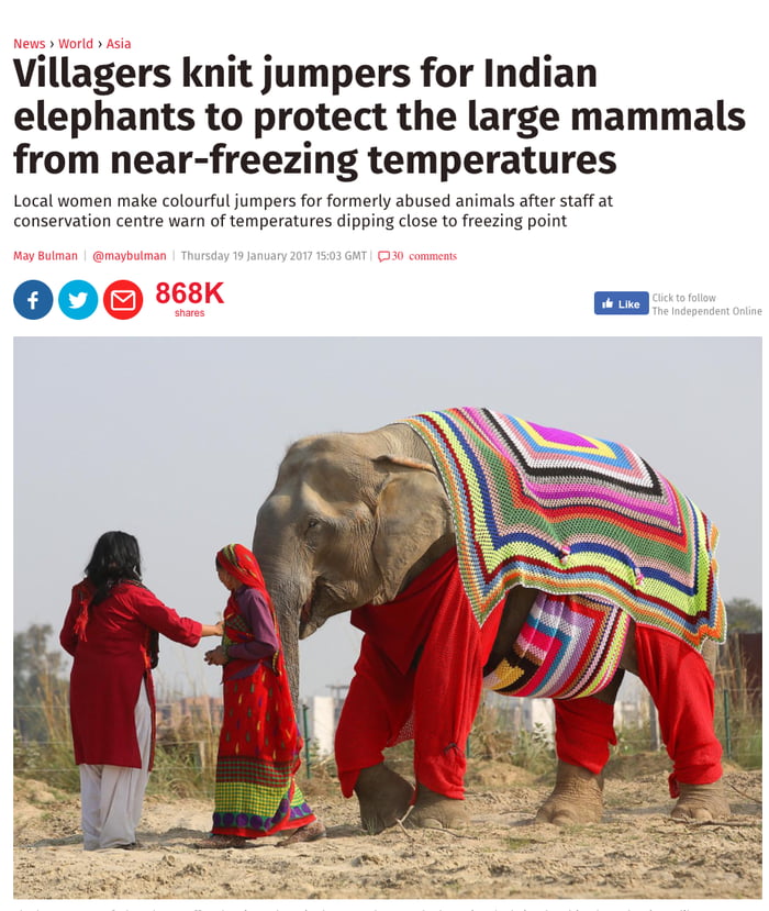 When an elephant has more swag than you..... - 9GAG