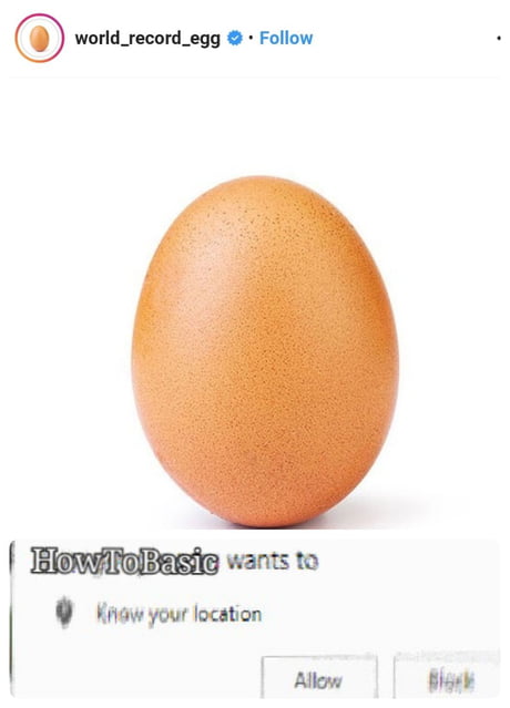 Howtobasic Egg