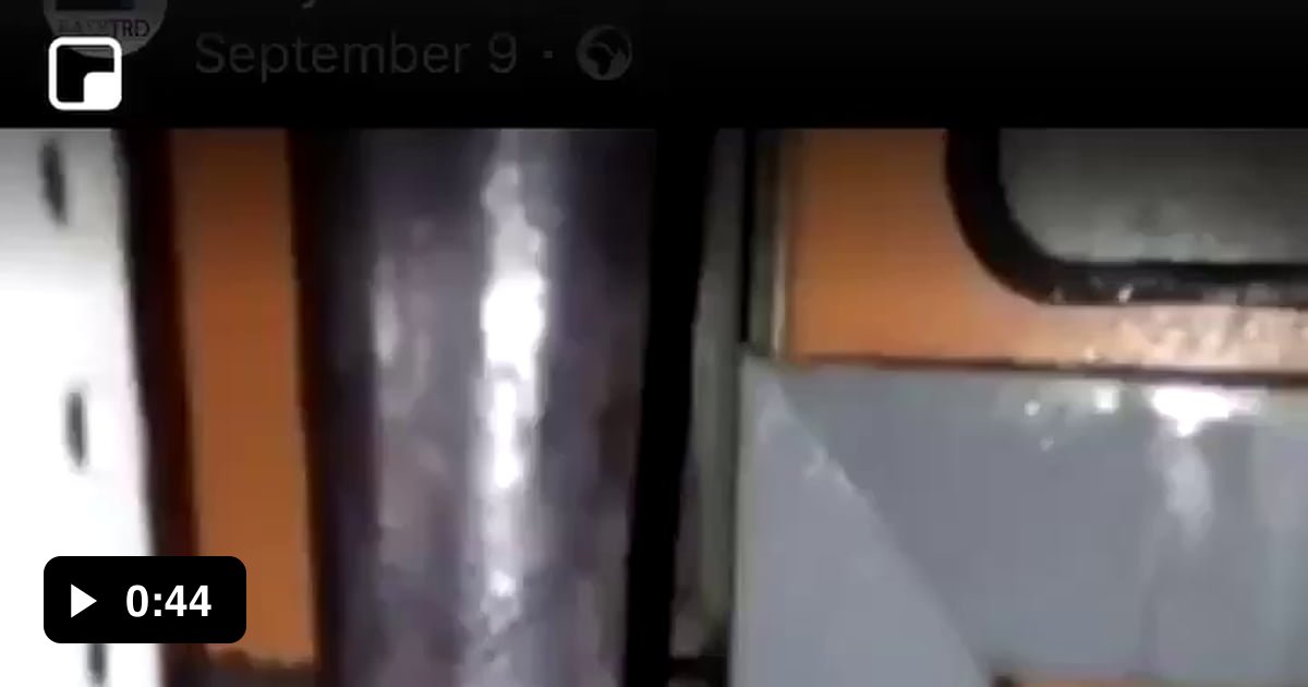 Electrician finds electrocuted snake where he went to investigate power ...