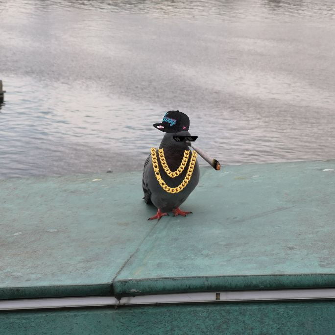 Mlg-Pigeon just 360 noscoped you. You gain extra 150% gaming skill. - 9GAG