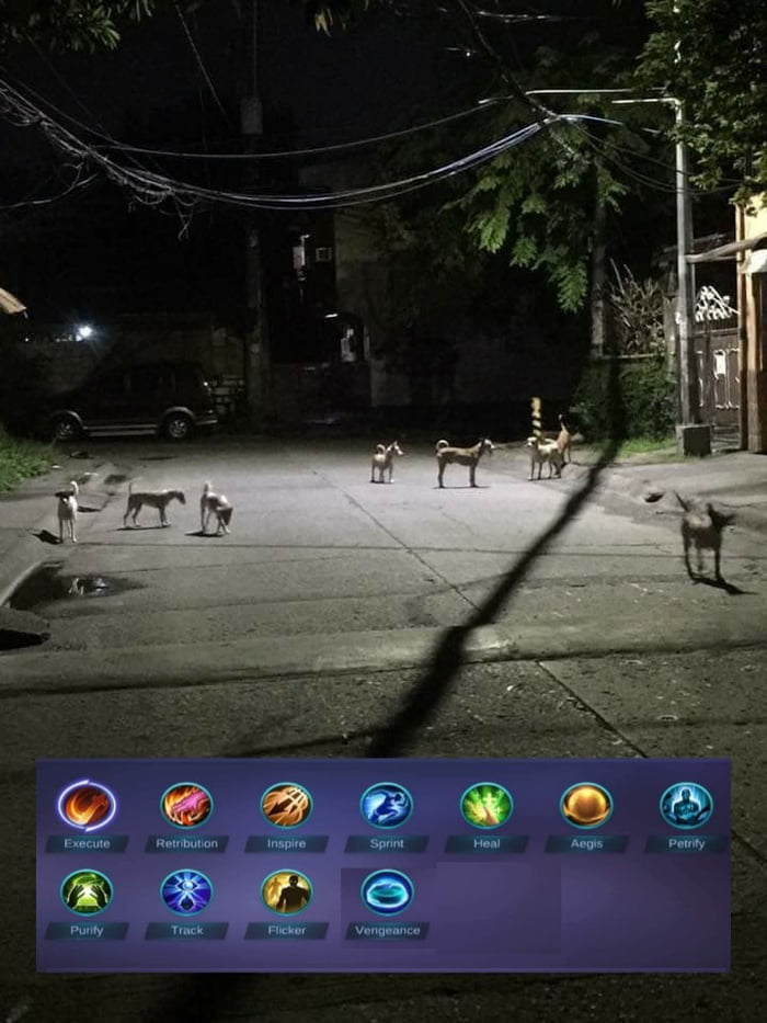 What skill will you use to pass them? - 9GAG