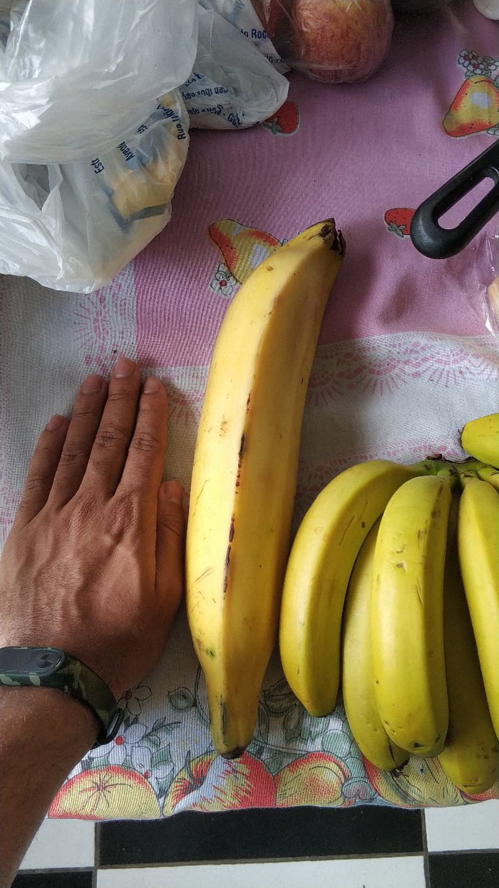 Family size? Normal banana and hand for scale - 9GAG