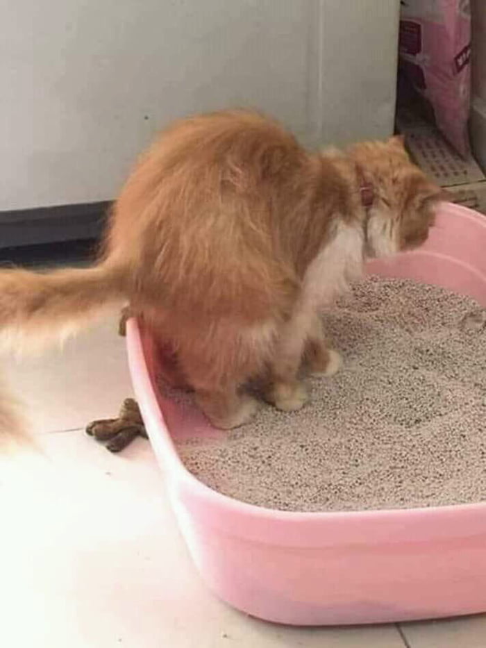 Cursed image. - 9GAG