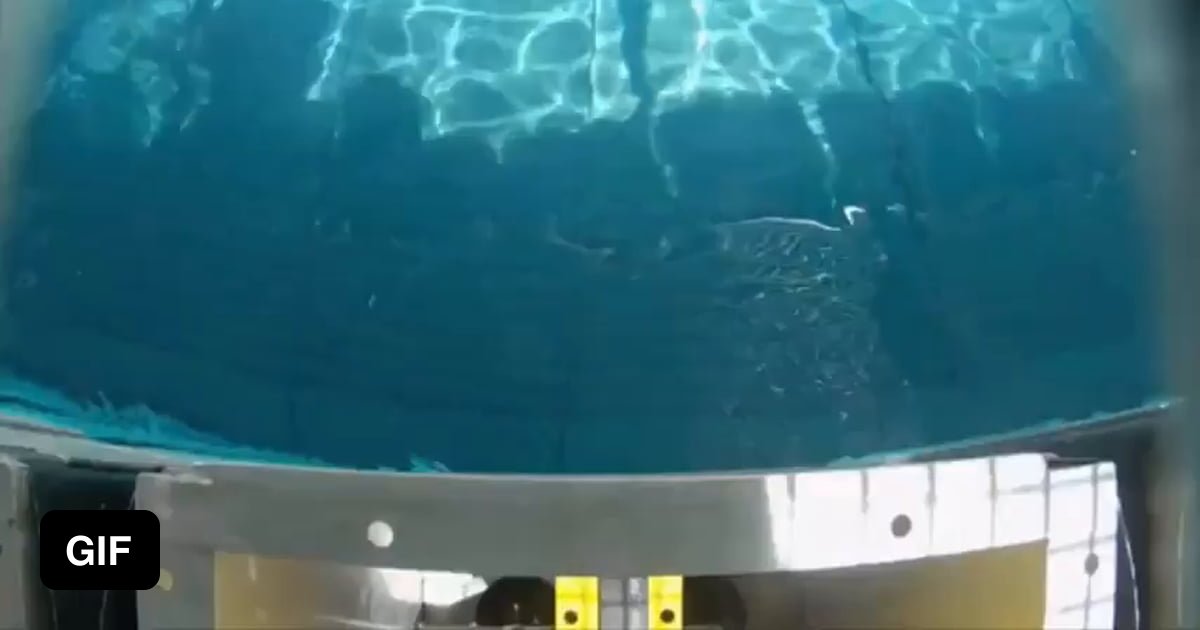 This precise circular wave tank - 9GAG