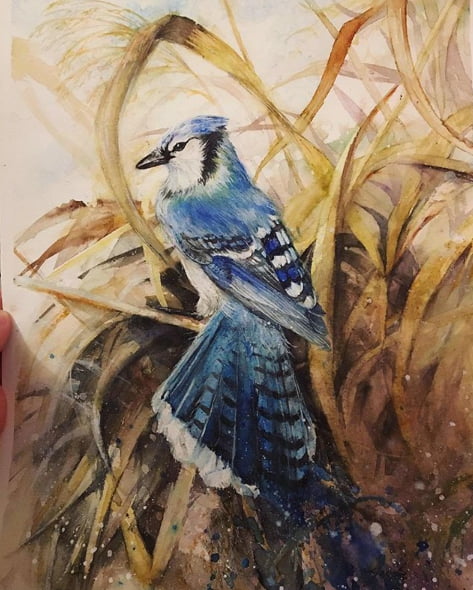 A blue jay in watercolor. Really happy how this turned out - 9GAG