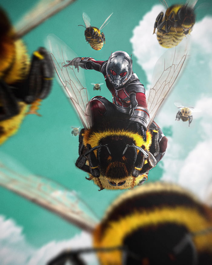 An art piece of ant man riding some bees. - 9GAG