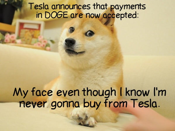#tesla #doge #elonmusk #funny #meme #crypto - 9GAG