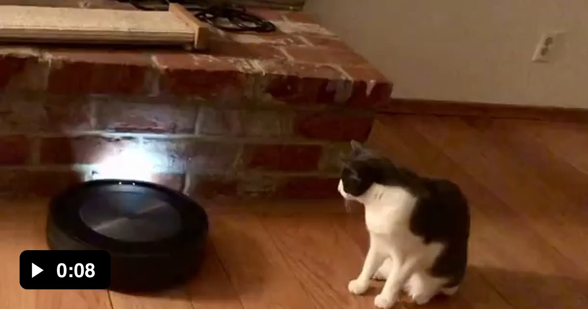 Beatrice vs. Roomba - 9GAG