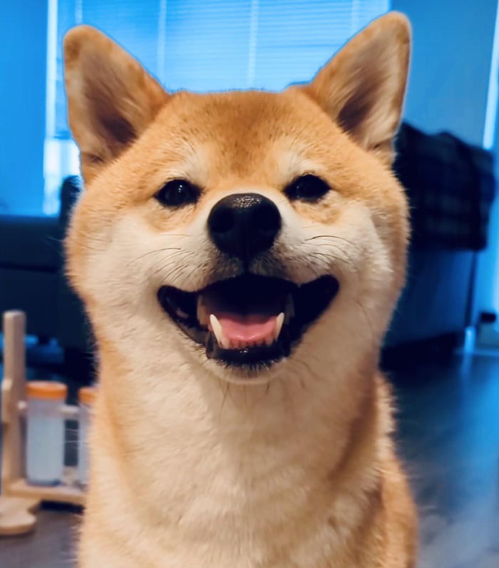 Say cheese - 9GAG