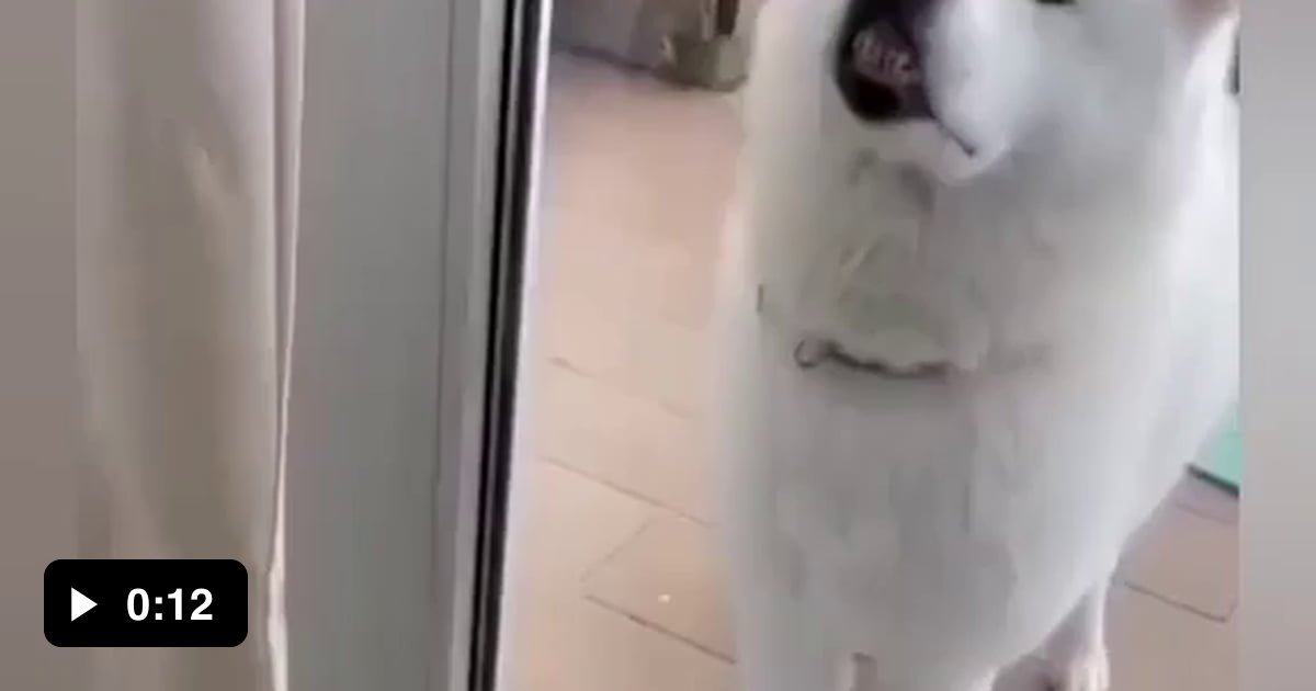 Imitating his idol, Bat. - 9GAG