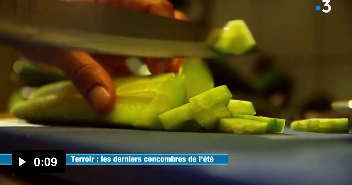 French TV uses Pickle Rick for illustration on a segment on cucumbers ...