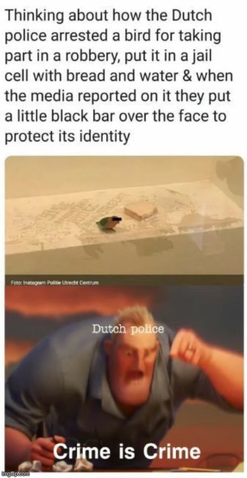 Dutch police be like... - 9GAG
