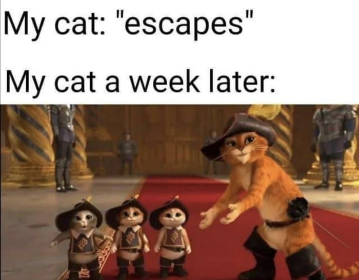 Now it’s your problem… - 9GAG