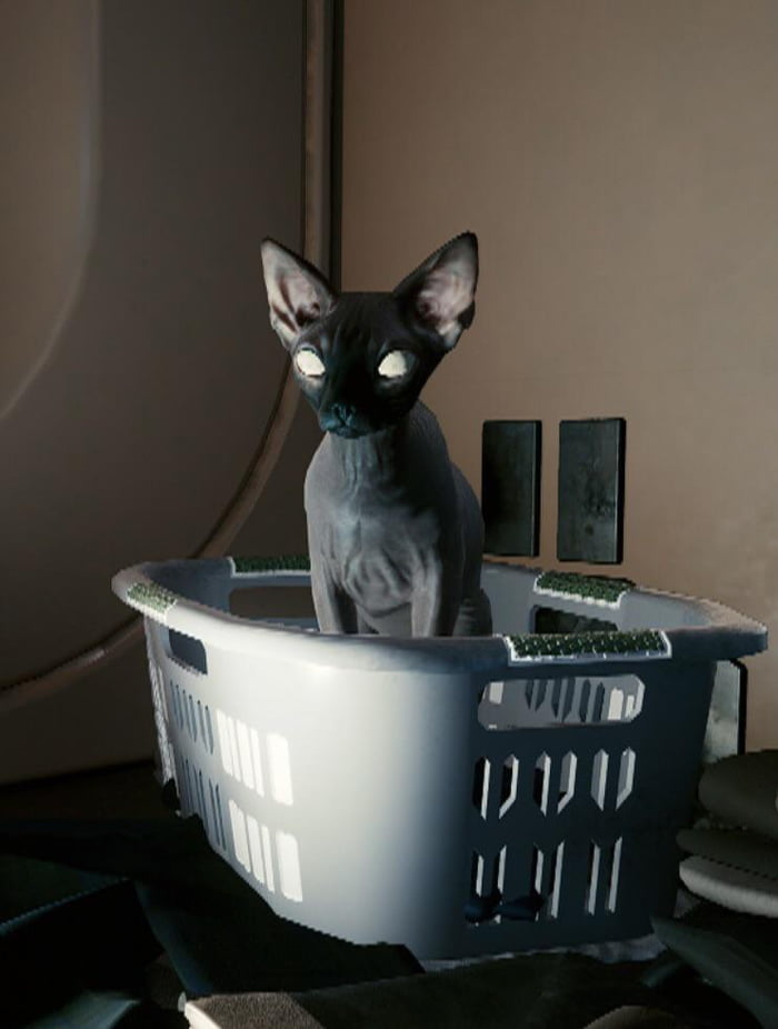 What’s your favorite pet in gaming? - 9GAG