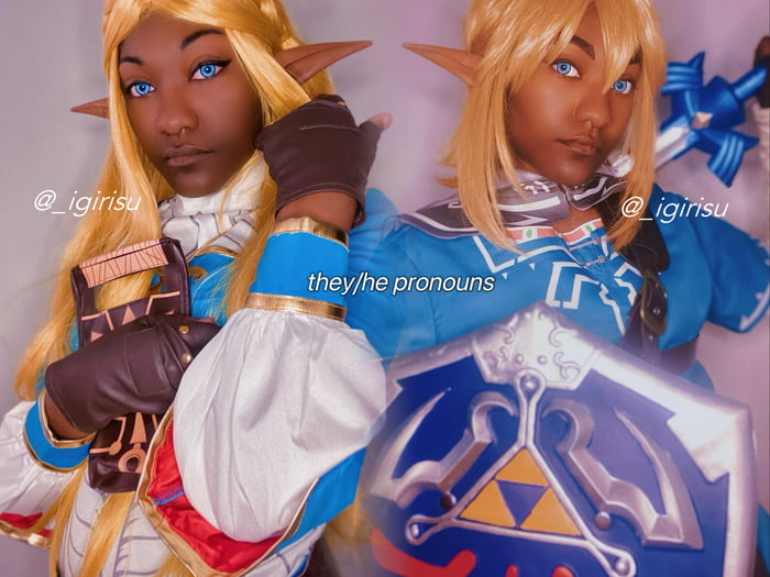 Zelda x Link (BoTW) - 9GAG