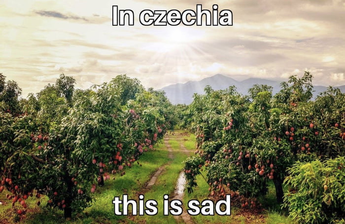 In Czechia, this is sad - 9GAG