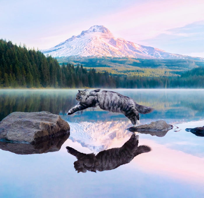 Jumping into September - 9GAG