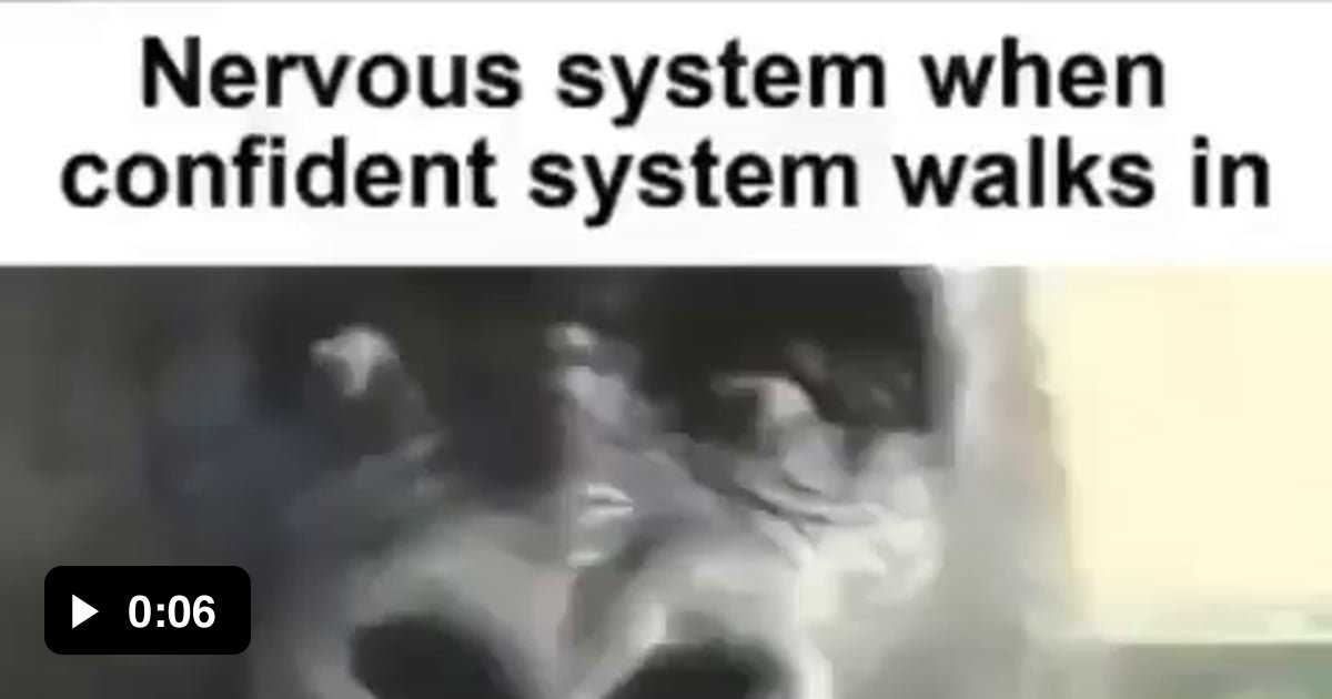 Confident system the evil brother of nervous system. - 9GAG